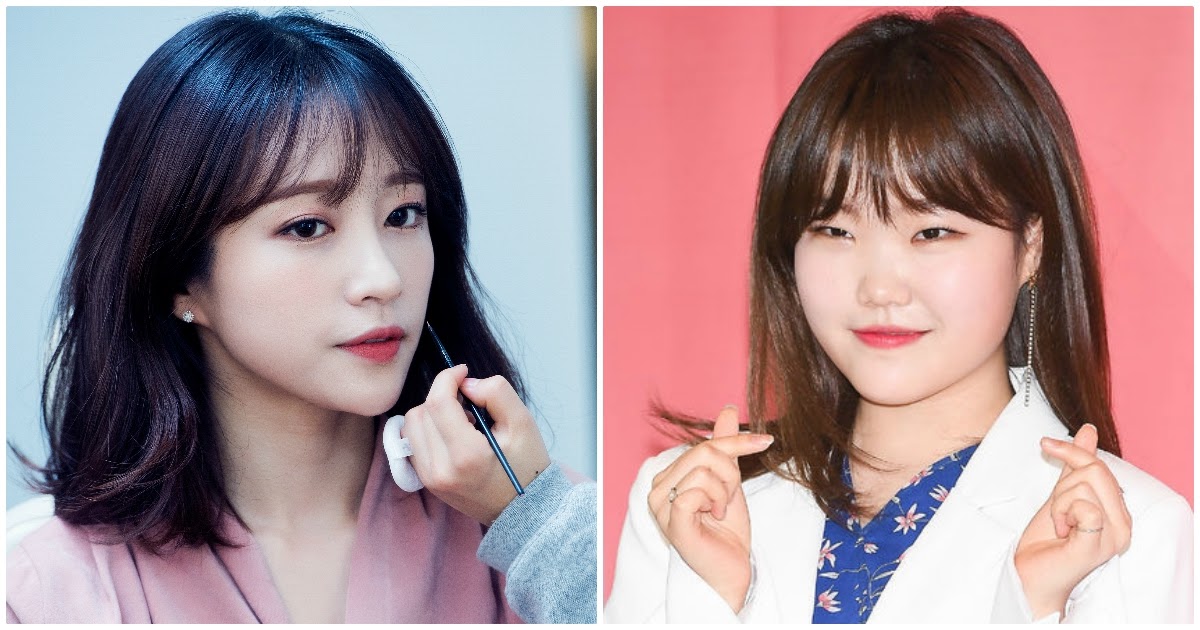Need to Know About Kpop Plastic Surgery - Actual Organics